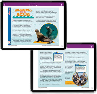 Top 10 Spanish Literacy Resources | Learning A-Z